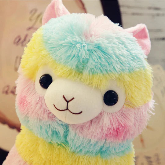 practicalplush.com – practicalplush.com